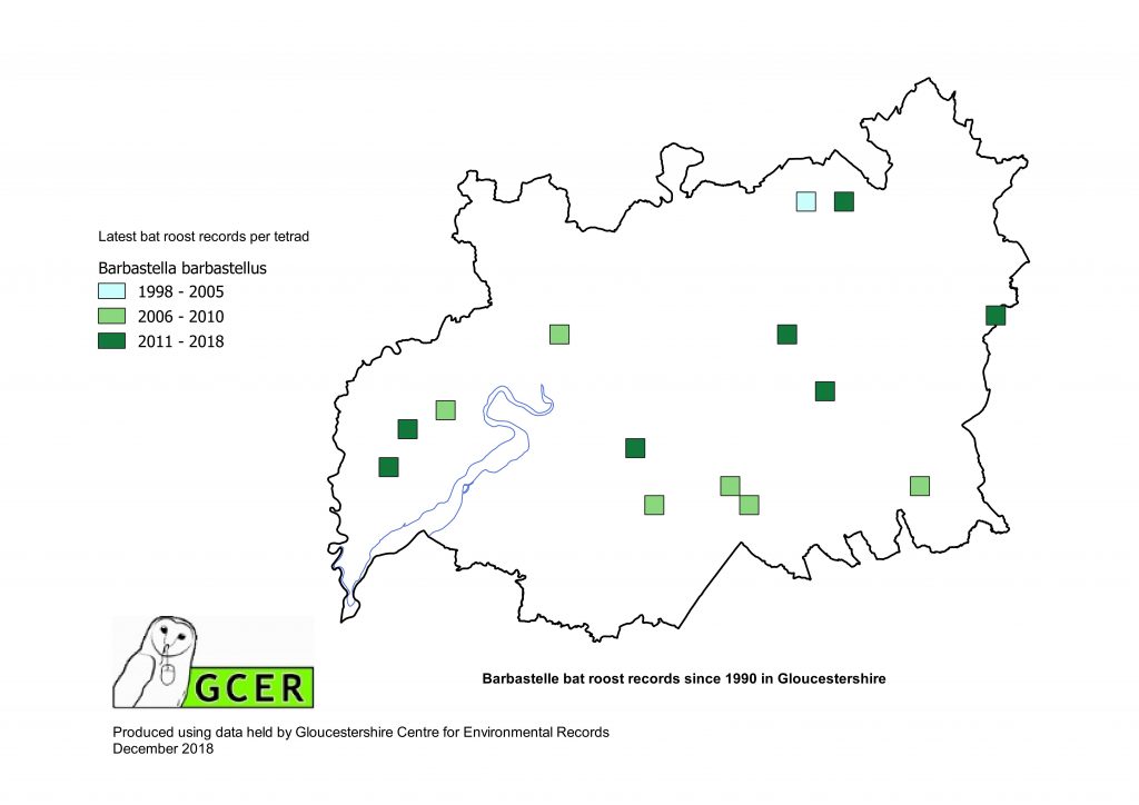 Bats in Gloucestershire – Gloucestershire Bat Group